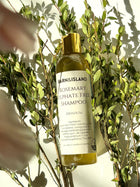 Barn & Island – Barn & Island